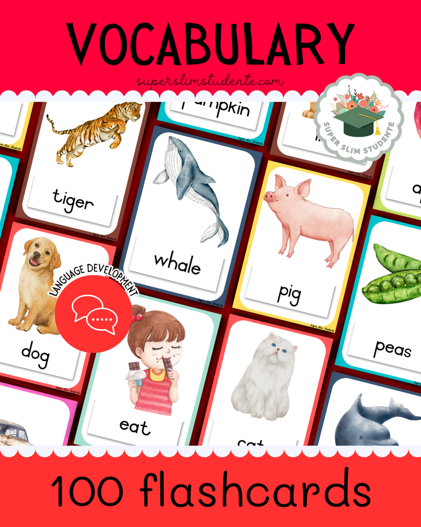 100 Vocabulary Flashcards (Choose Language) – Super Slim Studente