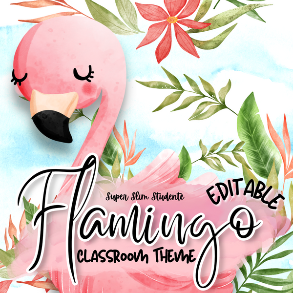 Flamingo Classroom Theme (Editable Version) – Super Slim Studente