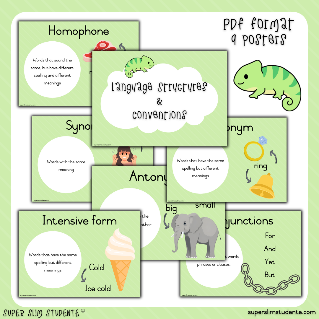 Language Structures and Conventions – Super Slim Studente