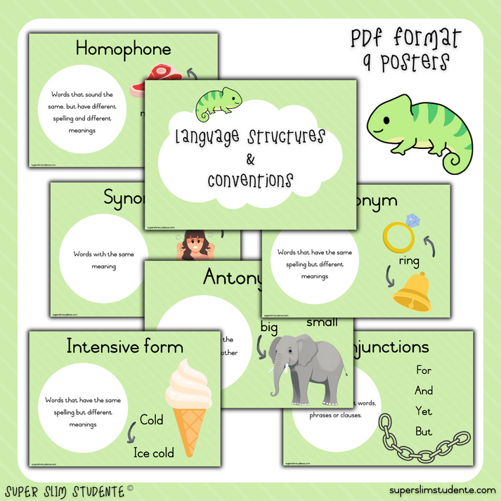 Language Structures and Conventions – Super Slim Studente