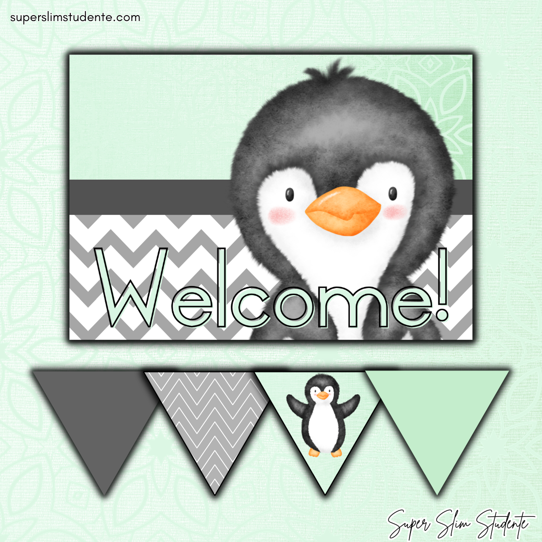 Classroom Themes – Super Slim Studente