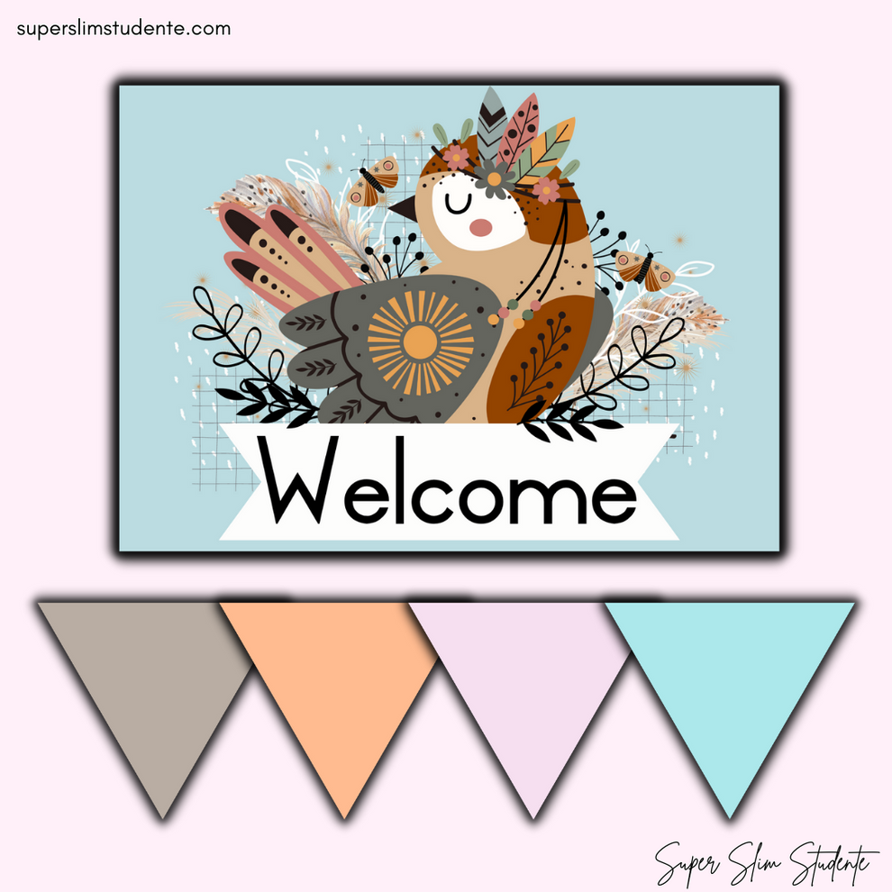 Pastel Boho Birds Classroom Theme (Preschool) – Super Slim Studente