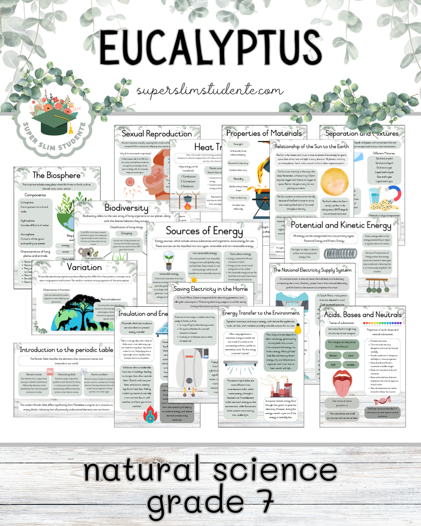 Eucalyptus Theme / NS Grade 7 Bundle [Choose Language] – Super Slim ...
