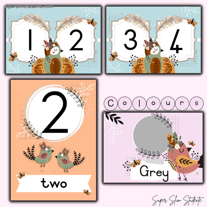 Pastel Boho Birds Classroom Theme (Preschool) – Super Slim Studente