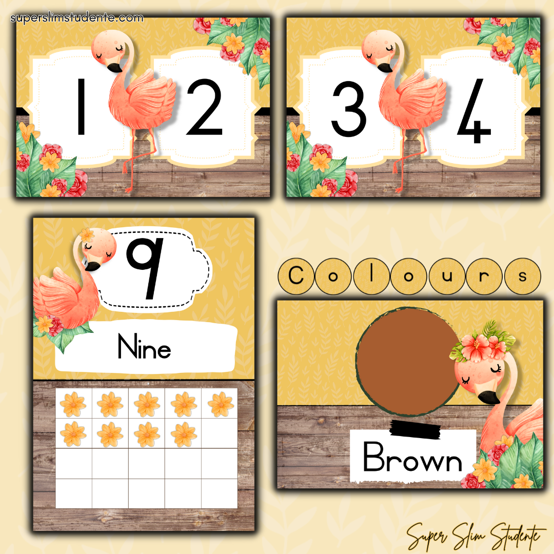 Flamingo Classroom Theme (Foundation Phase) – Super Slim Studente