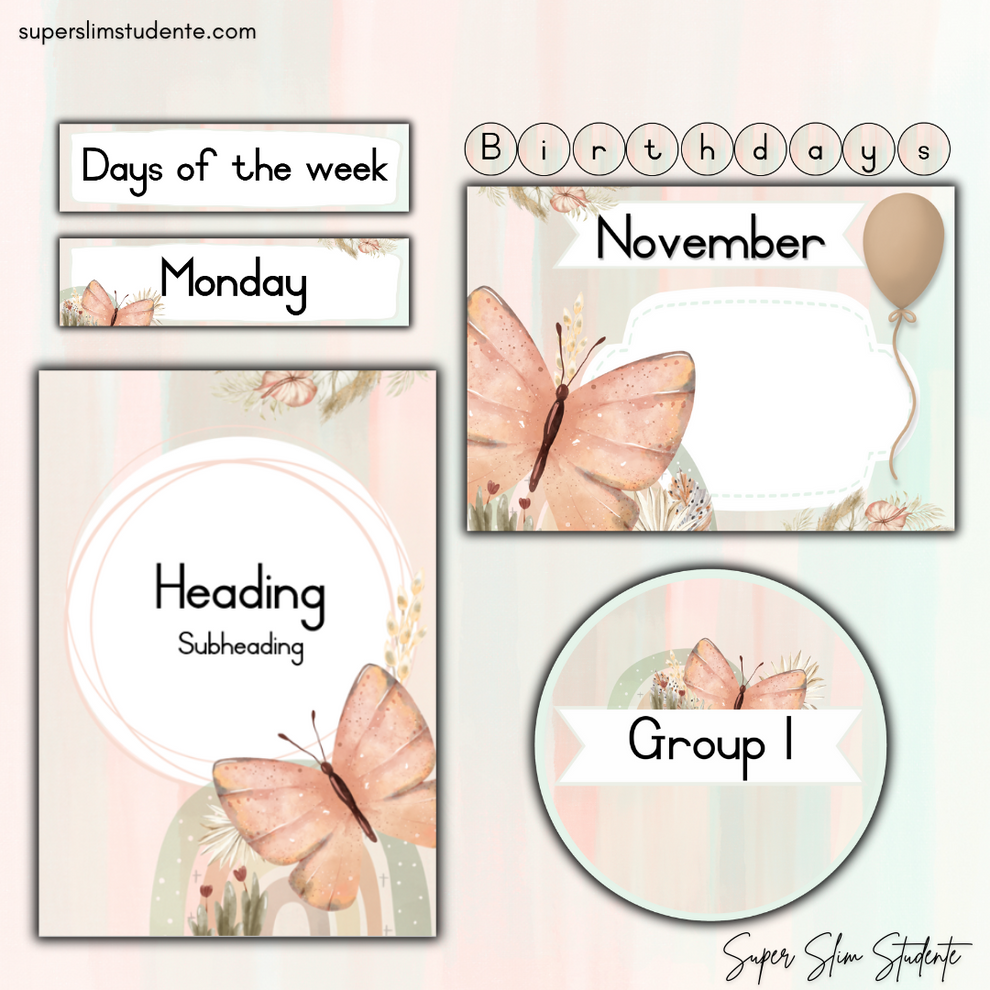 Boho Butterflies Classroom Theme (Foundation Phase) – Super Slim Studente