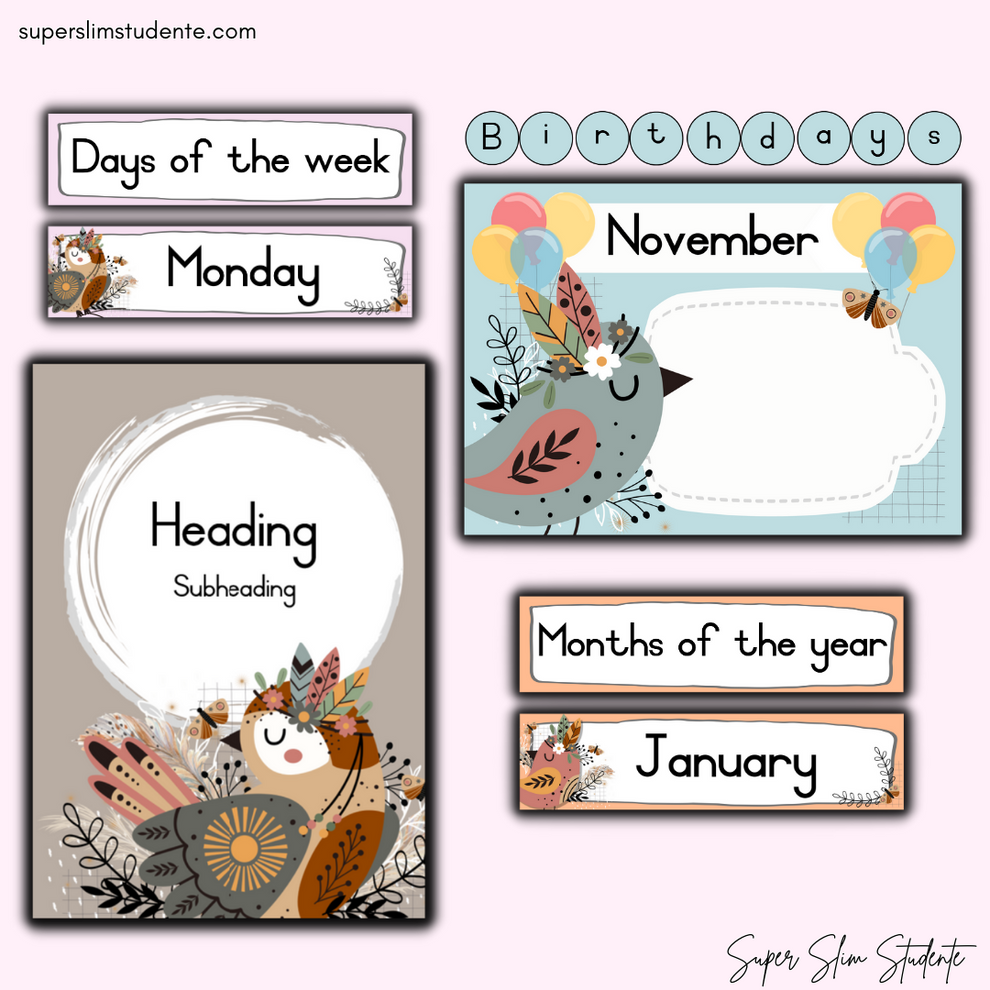 Pastel Boho Birds Classroom Theme (Preschool) – Super Slim Studente