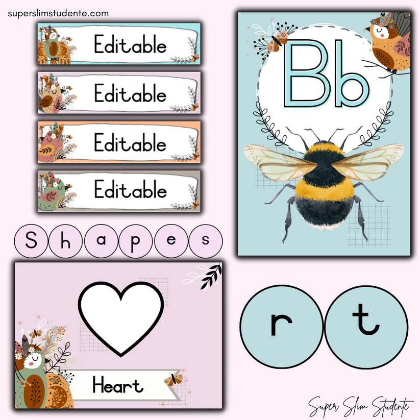 Pastel Boho Birds Classroom Theme (Preschool) – Super Slim Studente