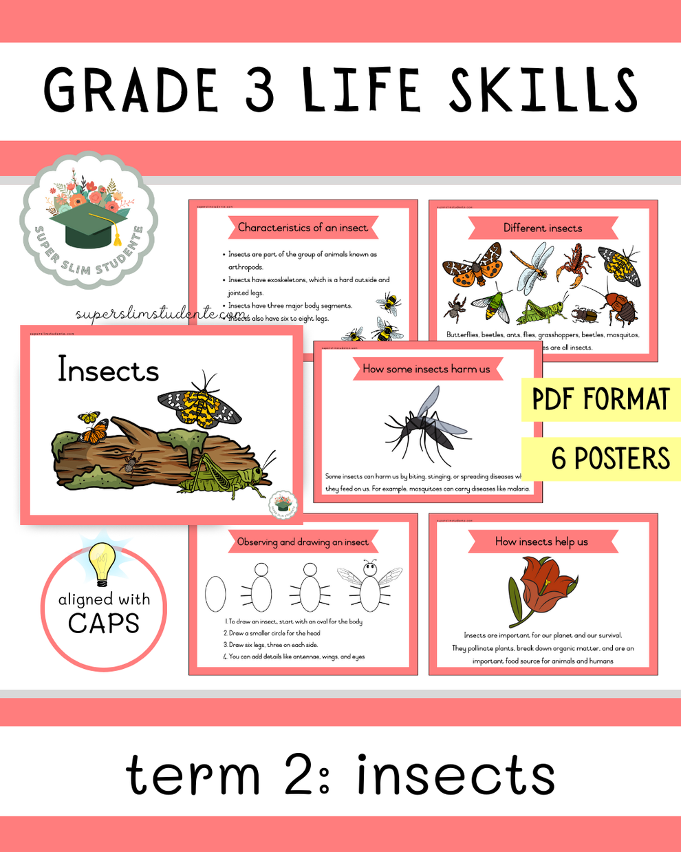 Grade 3 Term 2: Insects [Choose Language] – Super Slim Studente