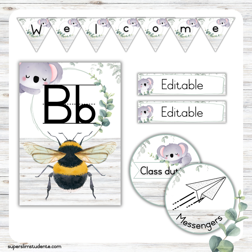 Koala Classroom Theme (Foundation Phase) – Super Slim Studente