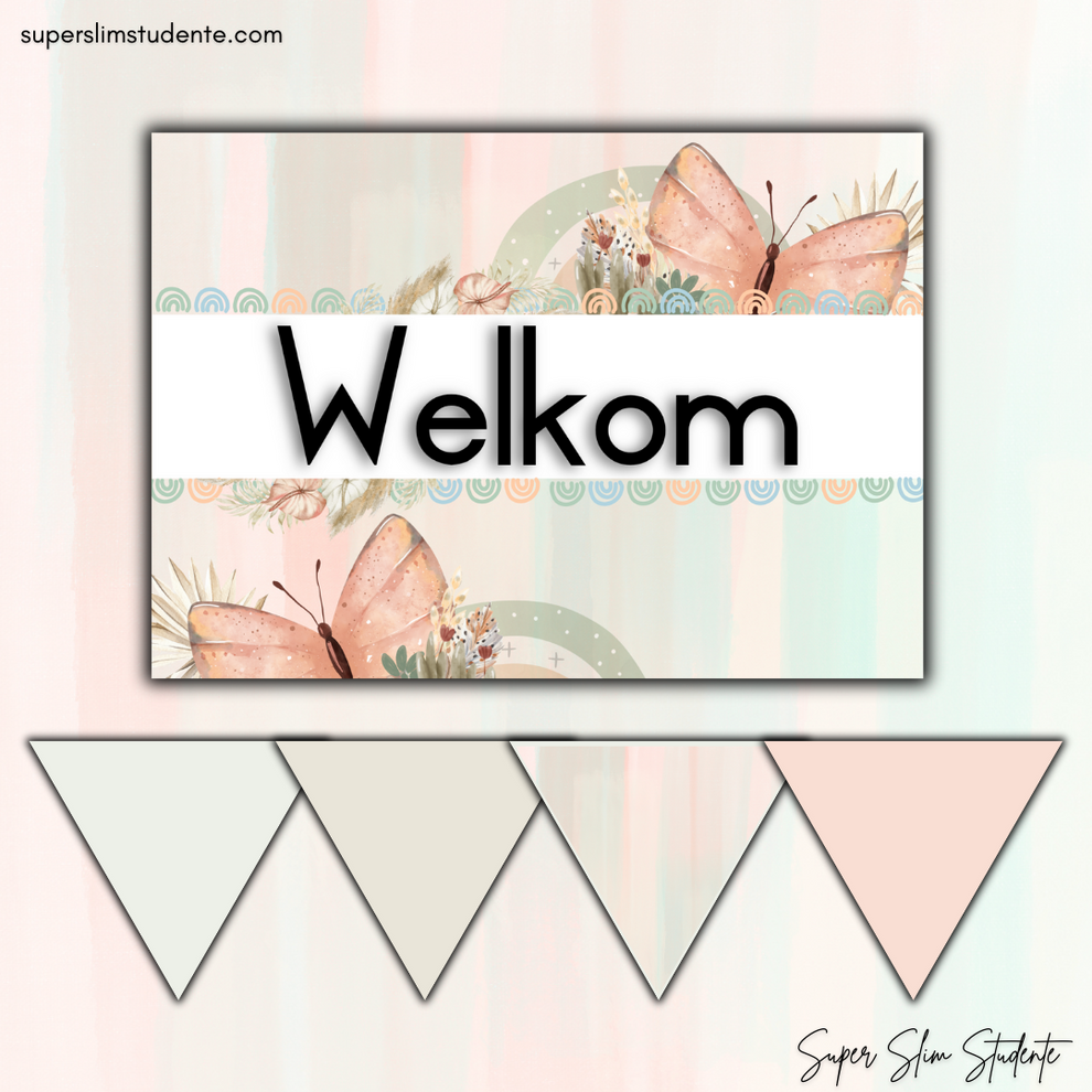 Boho Butterflies Classroom Theme (Foundation Phase) – Super Slim Studente