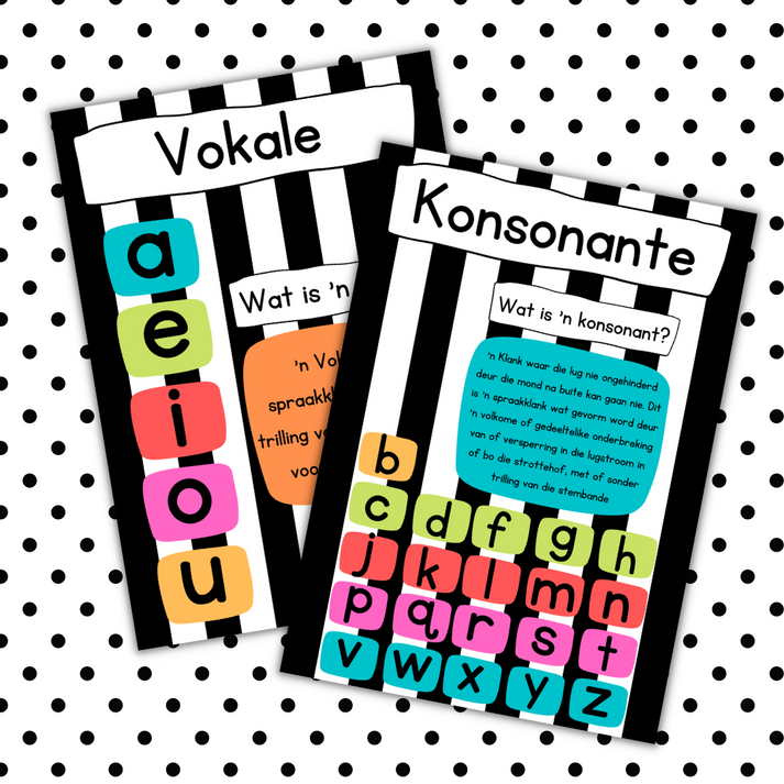 Vokale & Konsonante – Super Slim Studente