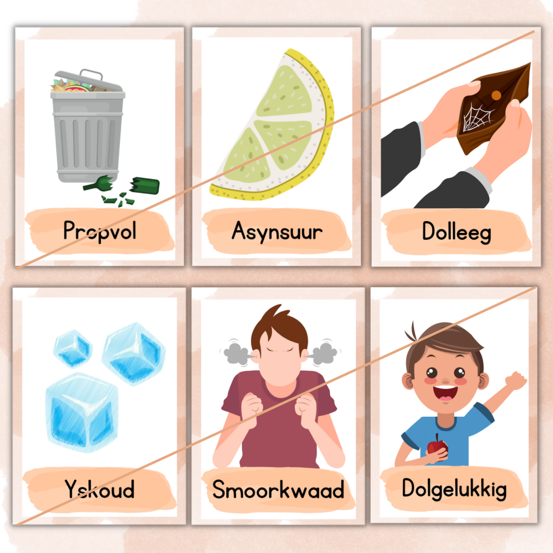 Intensiewe Vorme – Super Slim Studente