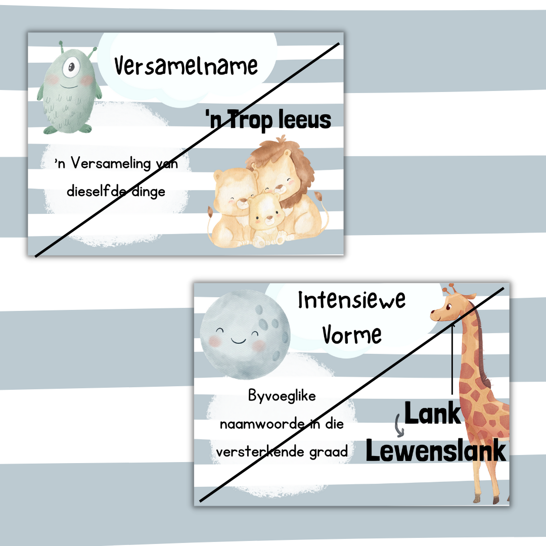 Language Structures and Conventions – Super Slim Studente