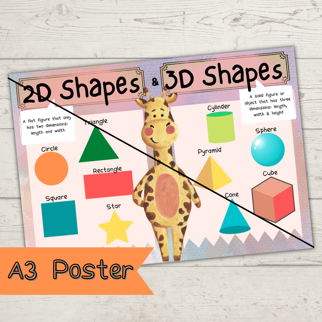 2D & 3D Shapes A3 Poster – Super Slim Studente
