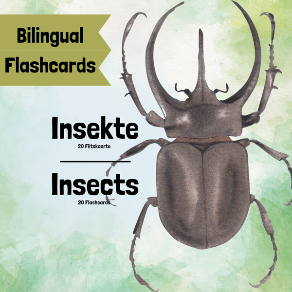 Insects/Insekte Bilingual Flashcards – Super Slim Studente