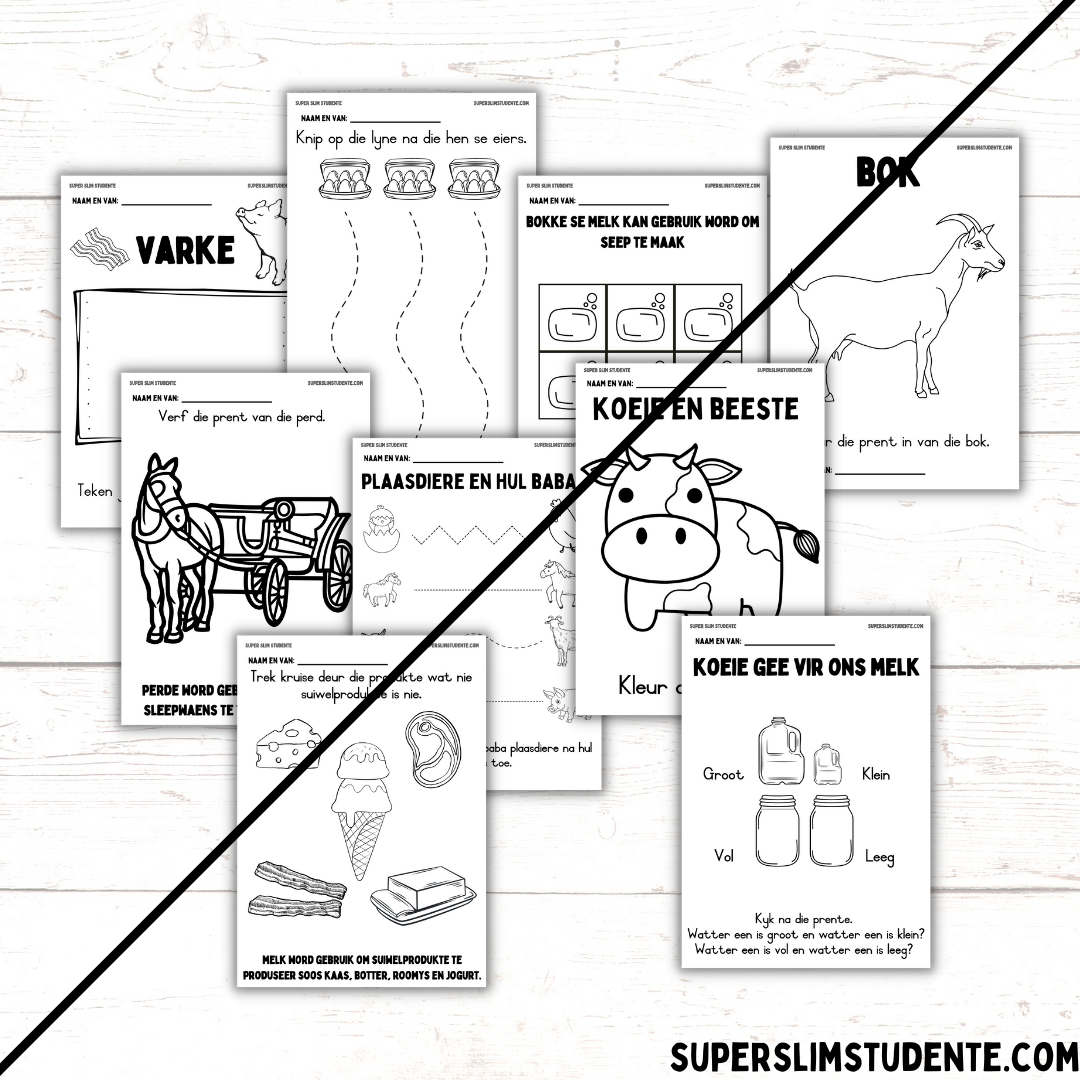 Farm Animals Workbook Grade RR & R – Super Slim Studente